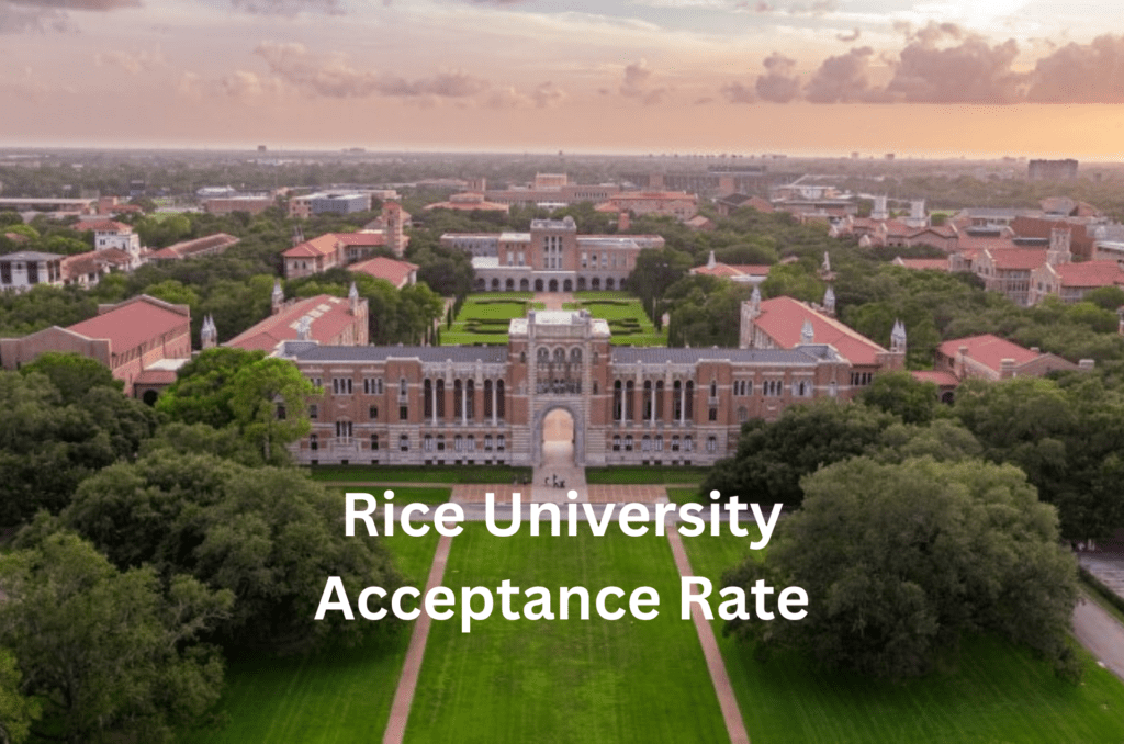 Understanding Rice University's Acceptance Rate | Schooligio